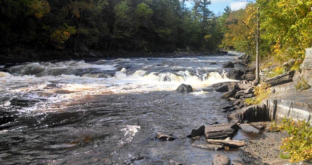 Sustainable Forest Management - Wisconsin County Forests Association